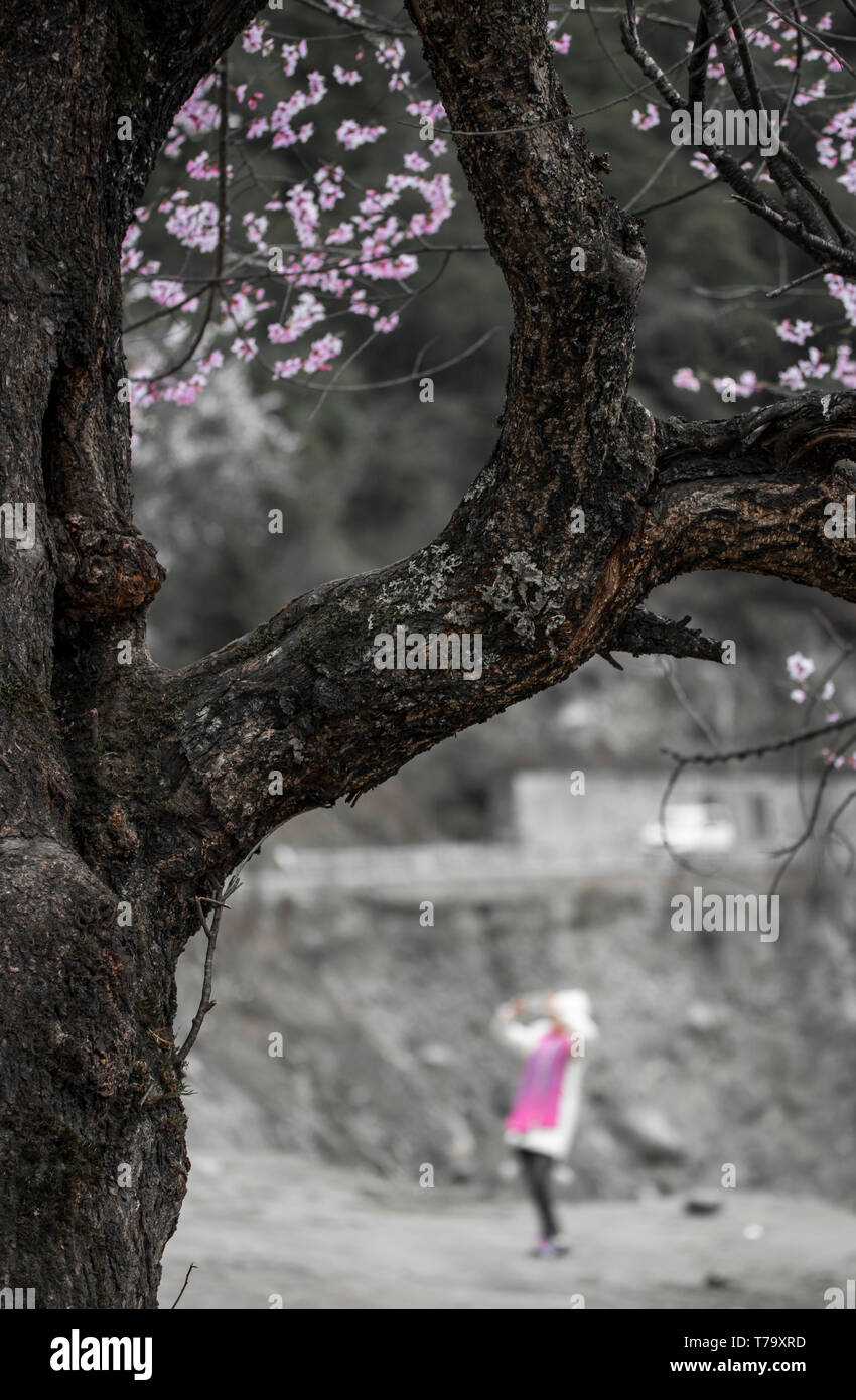 Spring is coming Stock Photo - Alamy