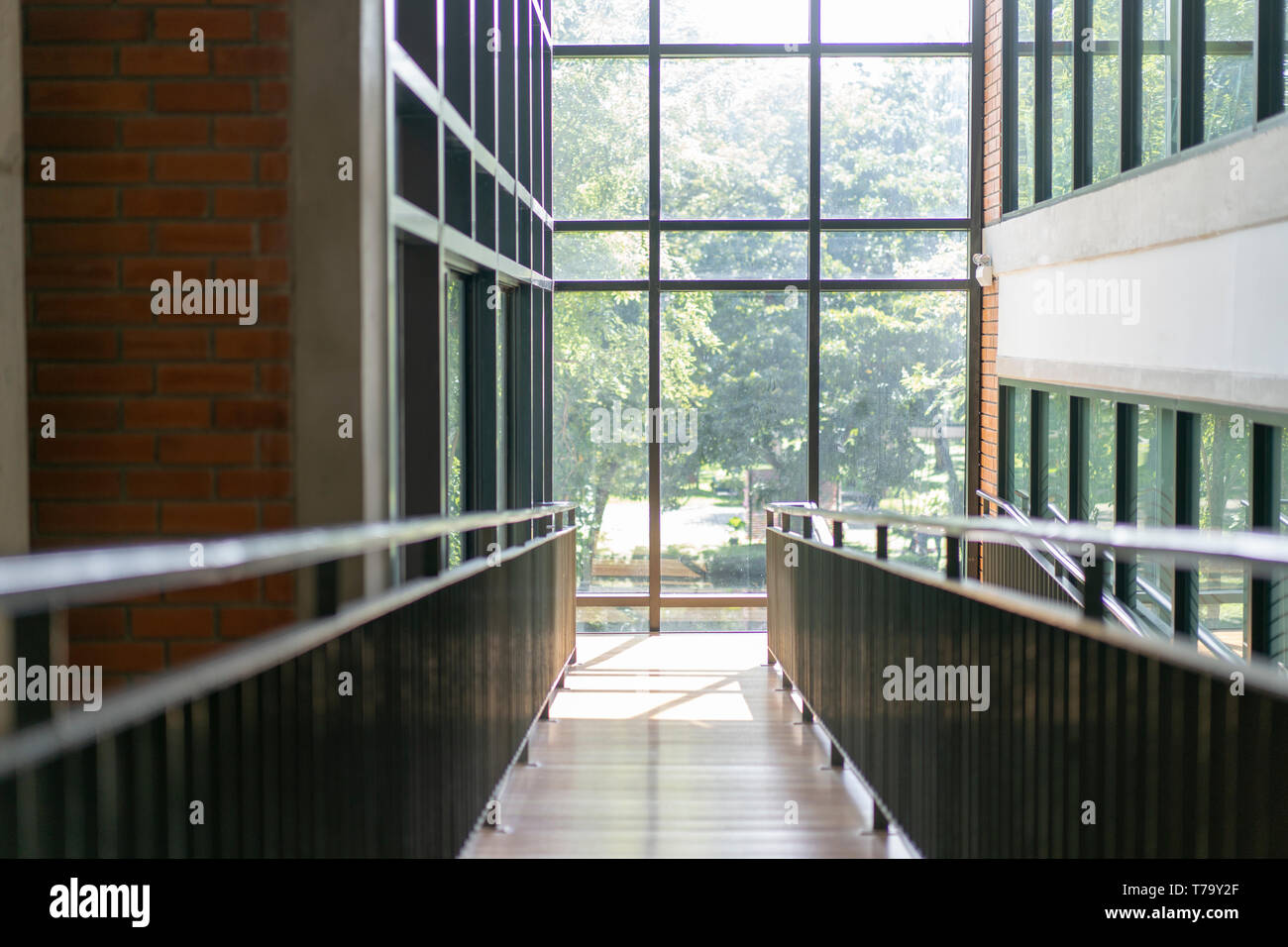 wooden slope walkway in the library with the window light from outside ...