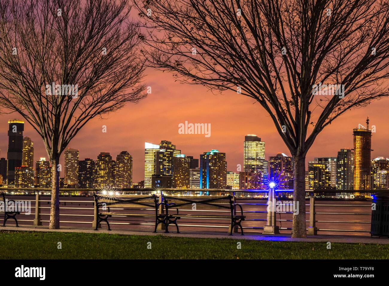 New York Evening Skyline with Trees Stock Photo - Alamy
