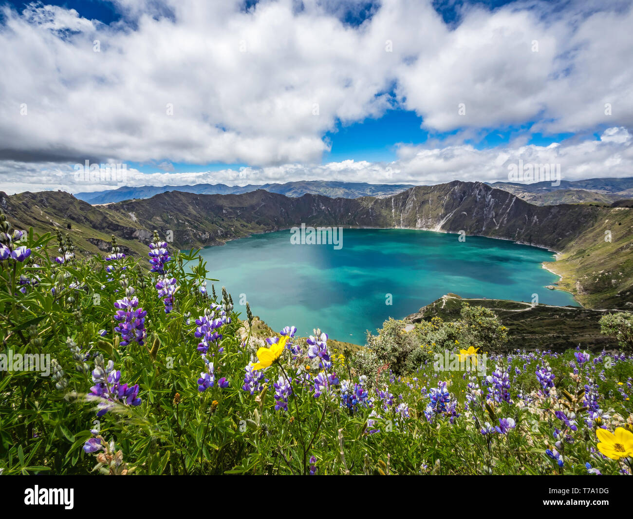 Beautiful panoramic scenery overlooking at Quilotoa lake at the crater ...