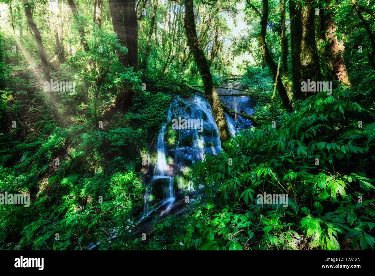 Mae pan hi-res stock photography and images - Alamy