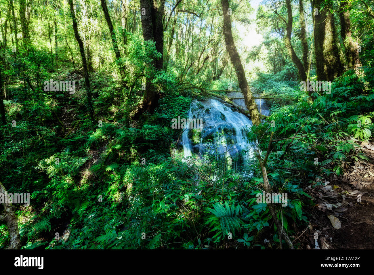 Mae pan hi-res stock photography and images - Alamy