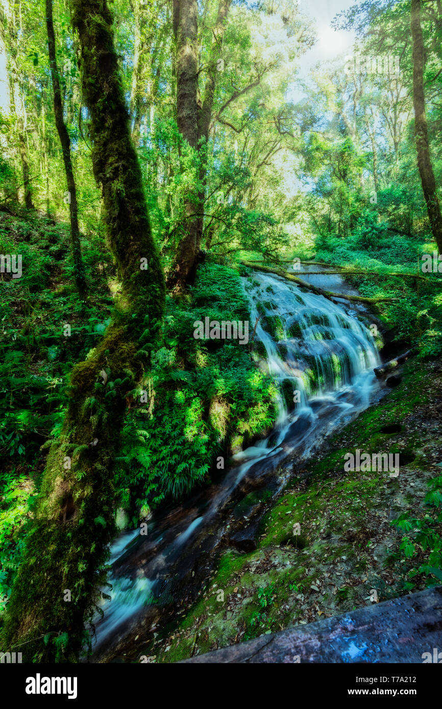 Mae pan hi-res stock photography and images - Alamy