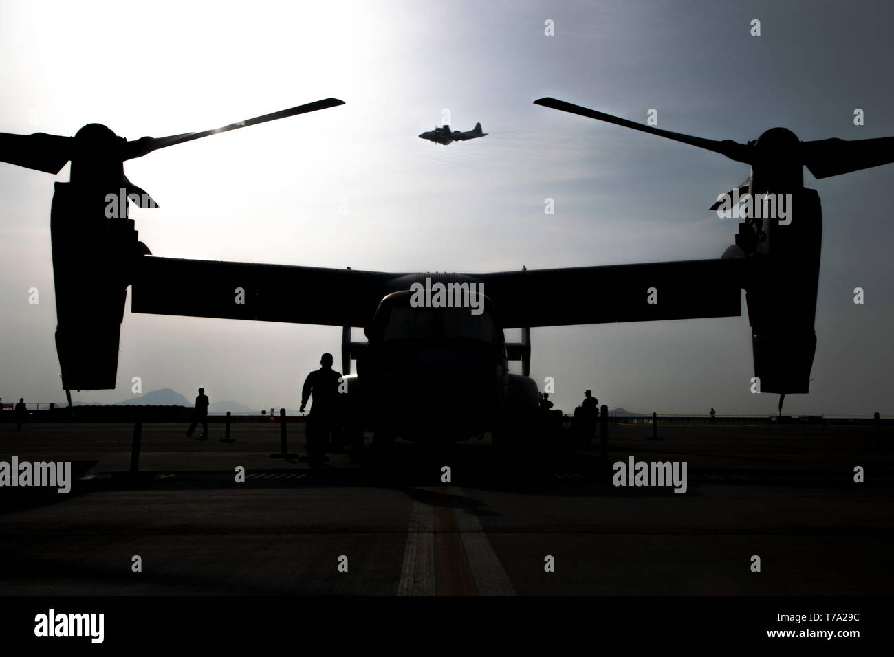 Savannah mesimer hi-res stock photography and images - Alamy