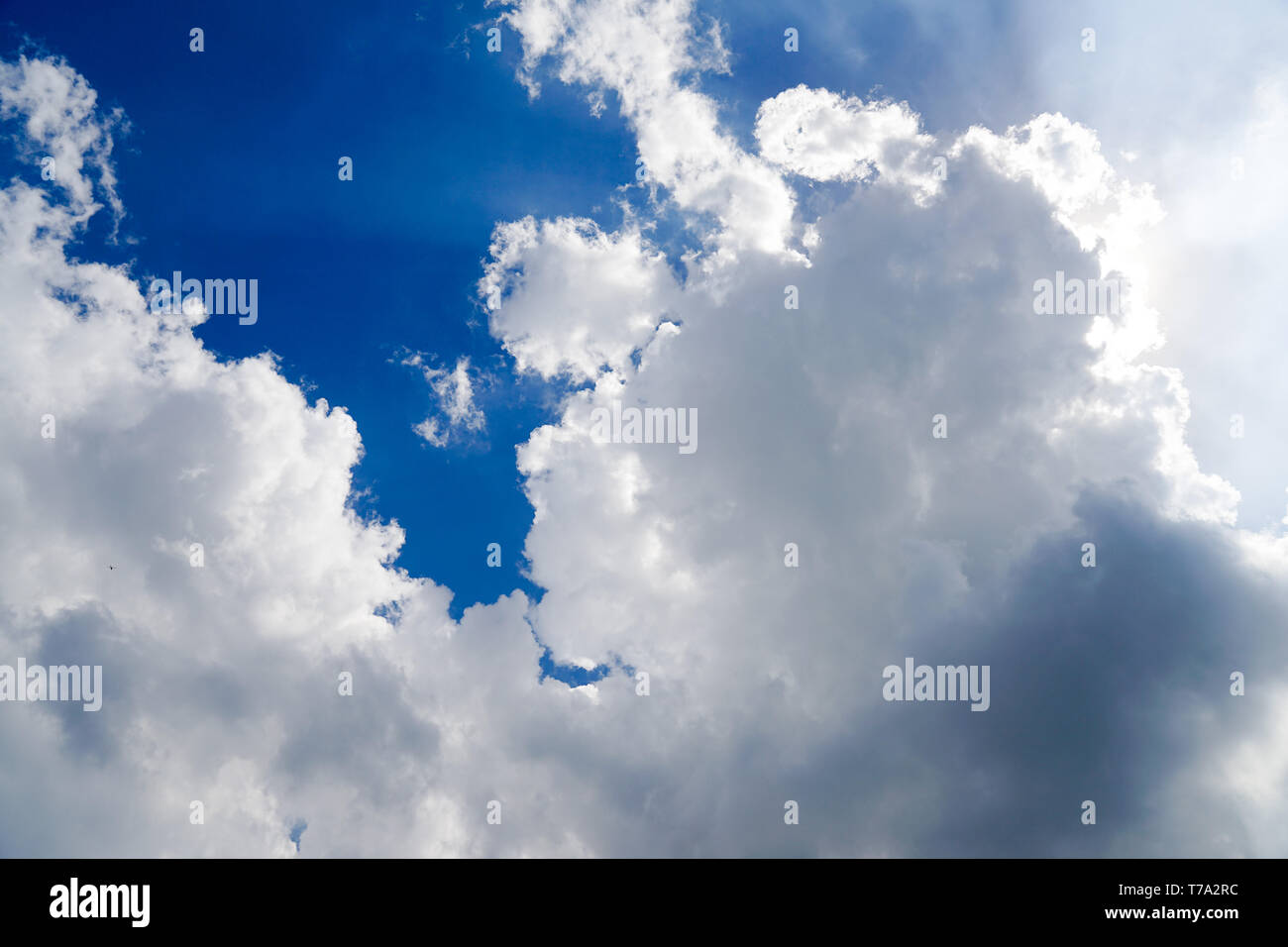 Clearly beautiful blue sky with unique cloud Stock Photo - Alamy