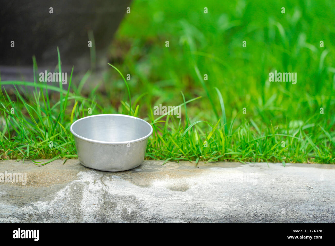 zinc cup on the footpart with garden background Stock Photo - Alamy