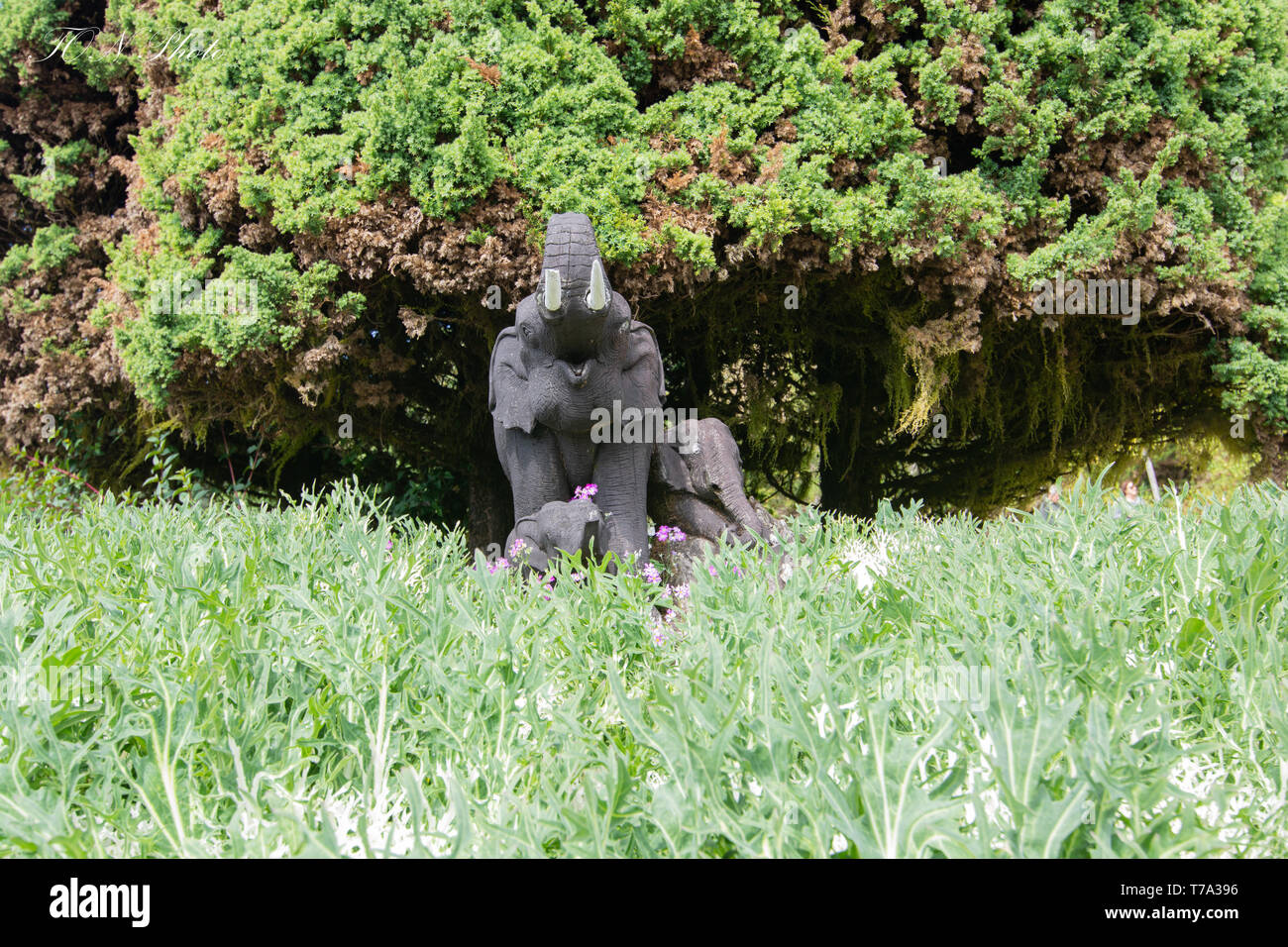Nature view trees Stock Photo - Alamy
