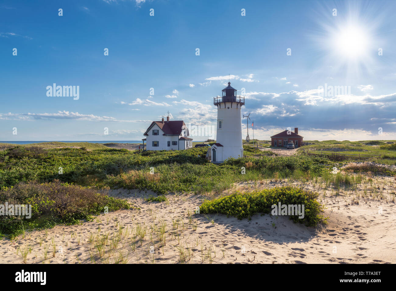 Cape Cod Lighthouse at sunset in beach dunes Stock Photo - Alamy