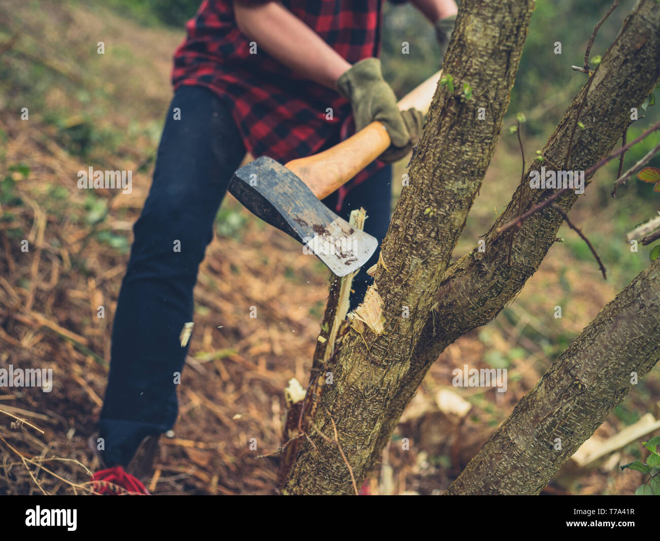 Woman chopping wood outdoors hi-res stock photography and images - Alamy