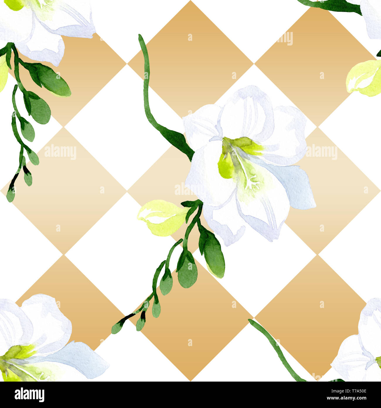 White freesia floral botanical flowers. Watercolor background ...