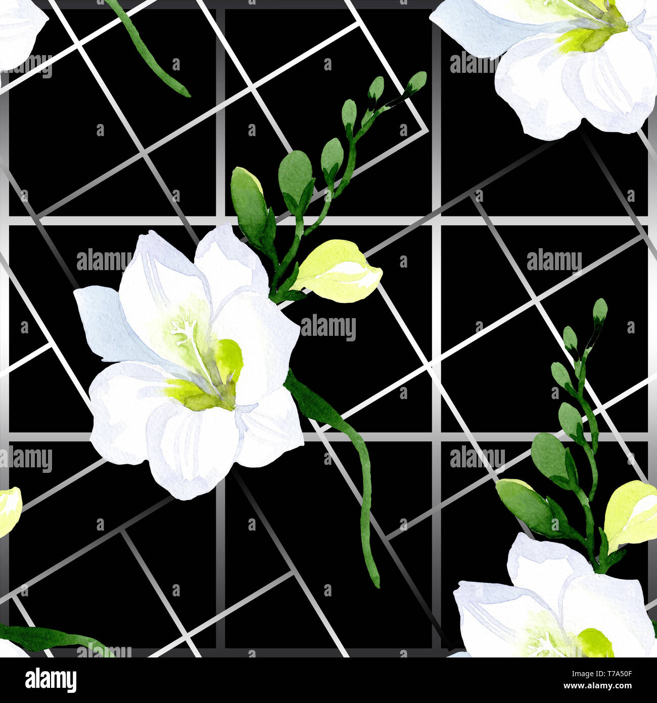 White freesia floral botanical flowers. Watercolor background ...