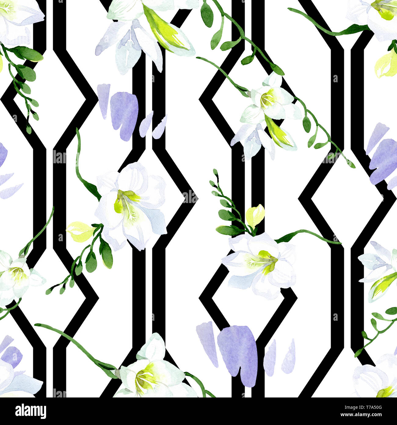 White freesia floral botanical flowers. Watercolor background ...