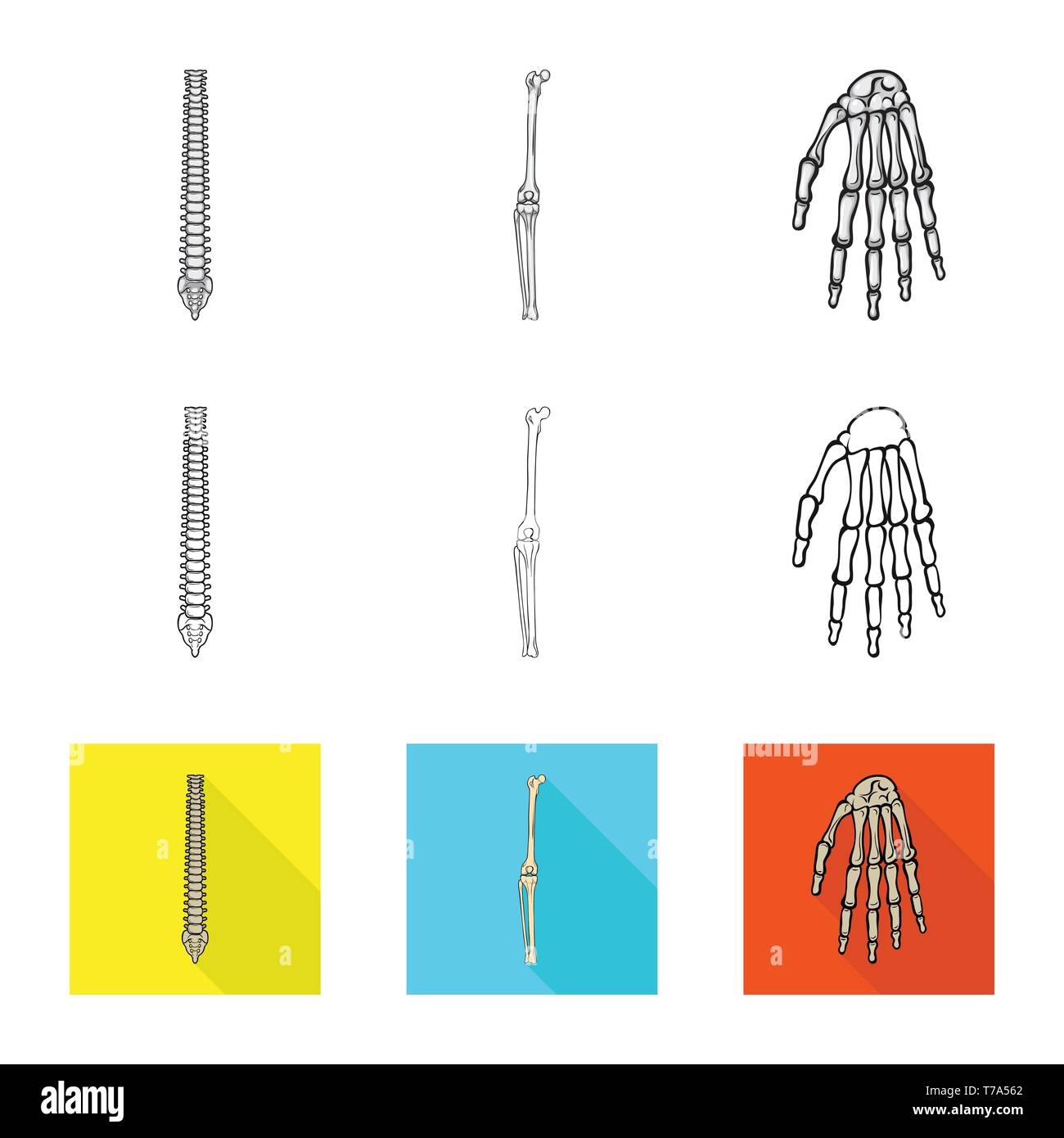 spine,knee,wrist,chiropractic,joint,hand,backbone,meniscus,calcium ...