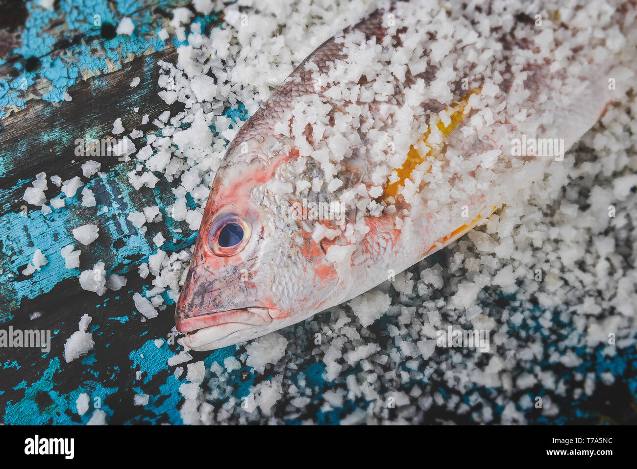 Red snapper underwater fin hi-res stock photography and images - Alamy