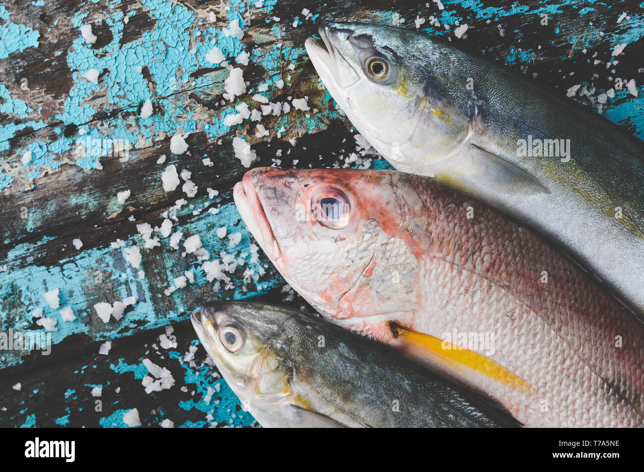 Fresh red snapper sea fish from fishery market with salt Stock Photo ...
