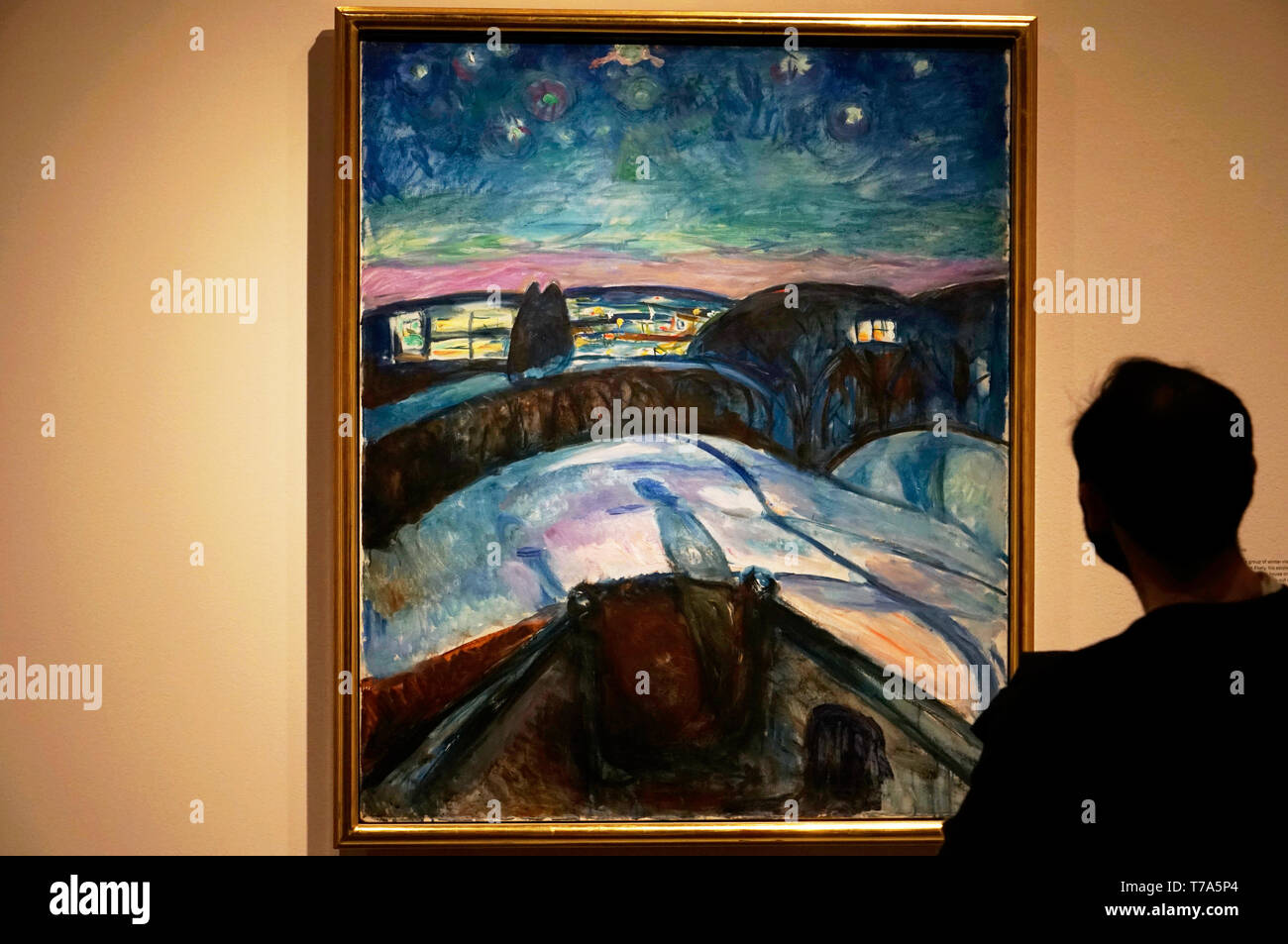 A visitor admiring the Starry Night (1922-24) by Edvard Munch.Munch ...