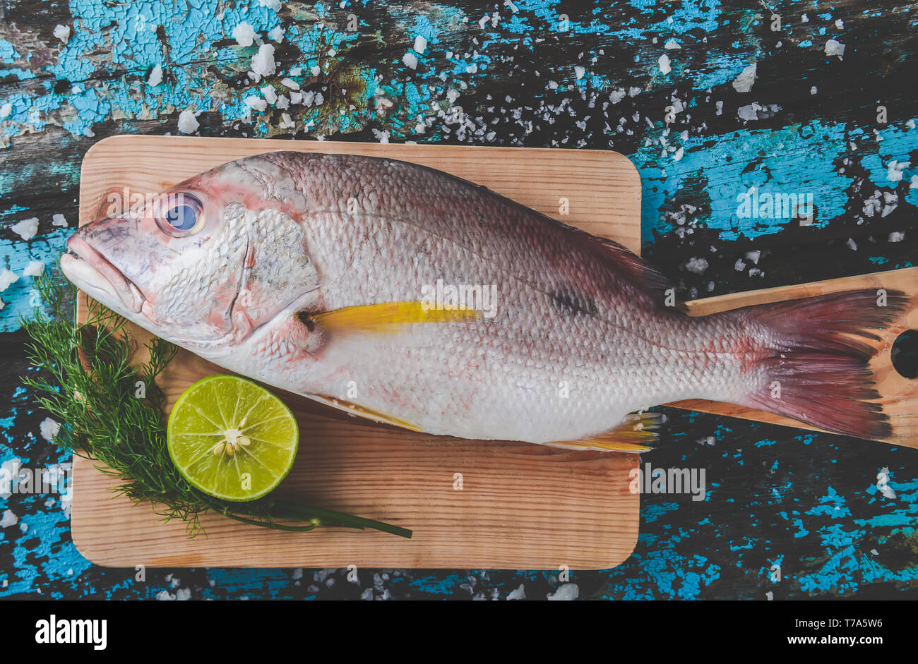 Red snapper underwater fin hi-res stock photography and images - Alamy