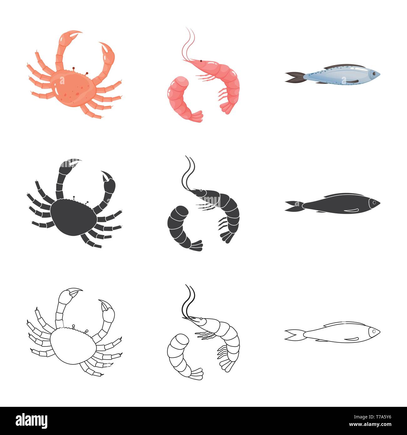 crab,shrimp,salmon,shell,prawn,fish,tentacles,trout,red,menu,delicacy ...