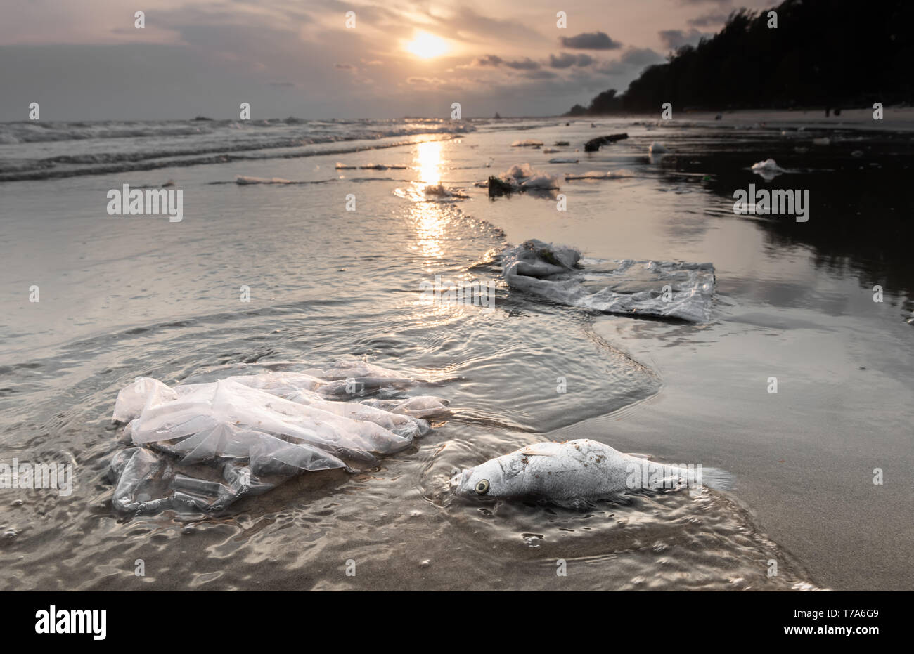 Death fish and plastic garbage on the beach in pollution sea scape ...