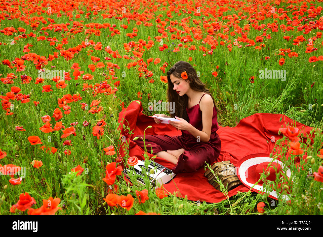 Poppy, Remembrance or Anzac Day Stock Photo - Alamy