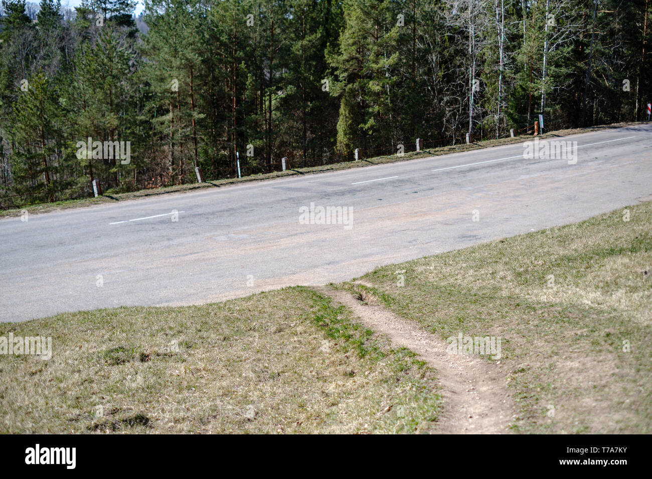 empty gravel dust road in forest with sun rays and shadows. early ...