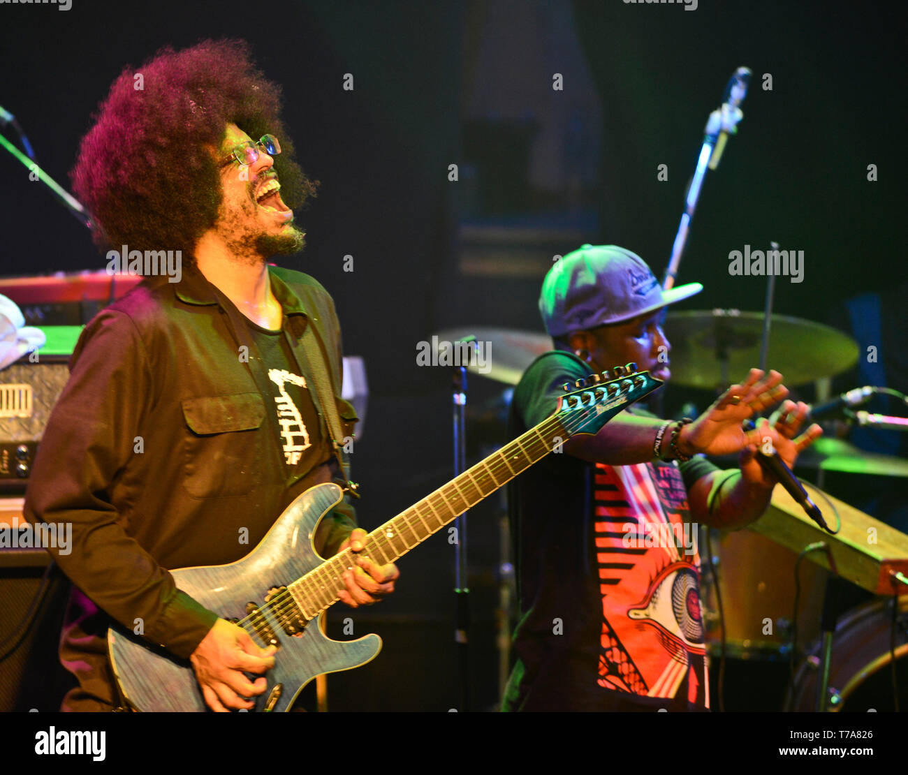 How Long Do Armants Live