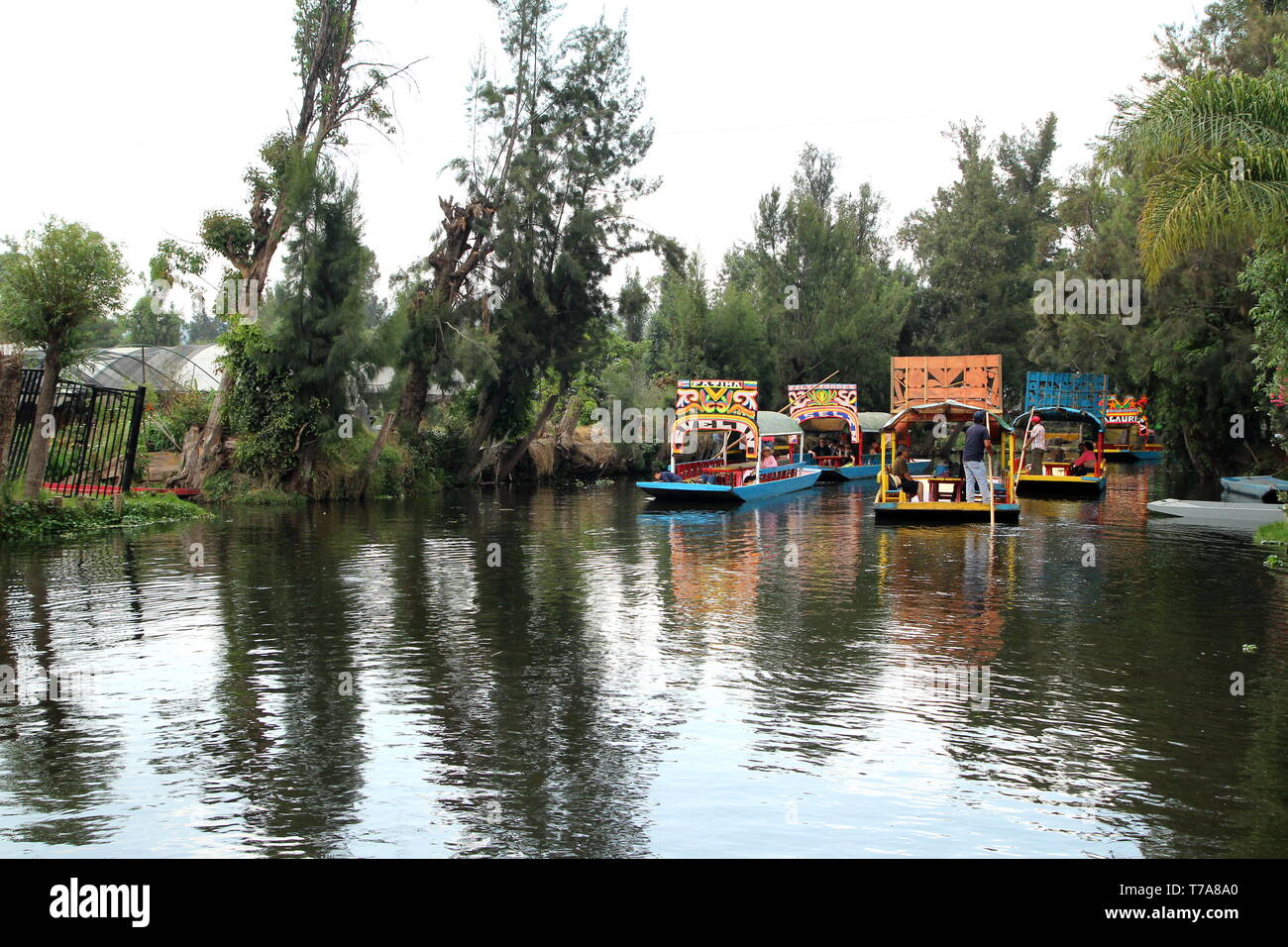 Tourism in Xochimilco district in Mexico city Stock Photo - Alamy