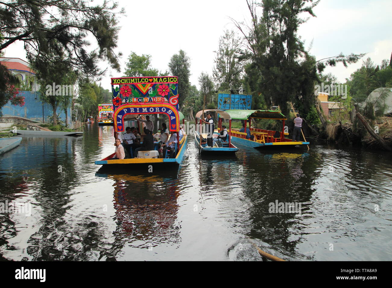 Xochimilco district in Mexico city Stock Photo - Alamy