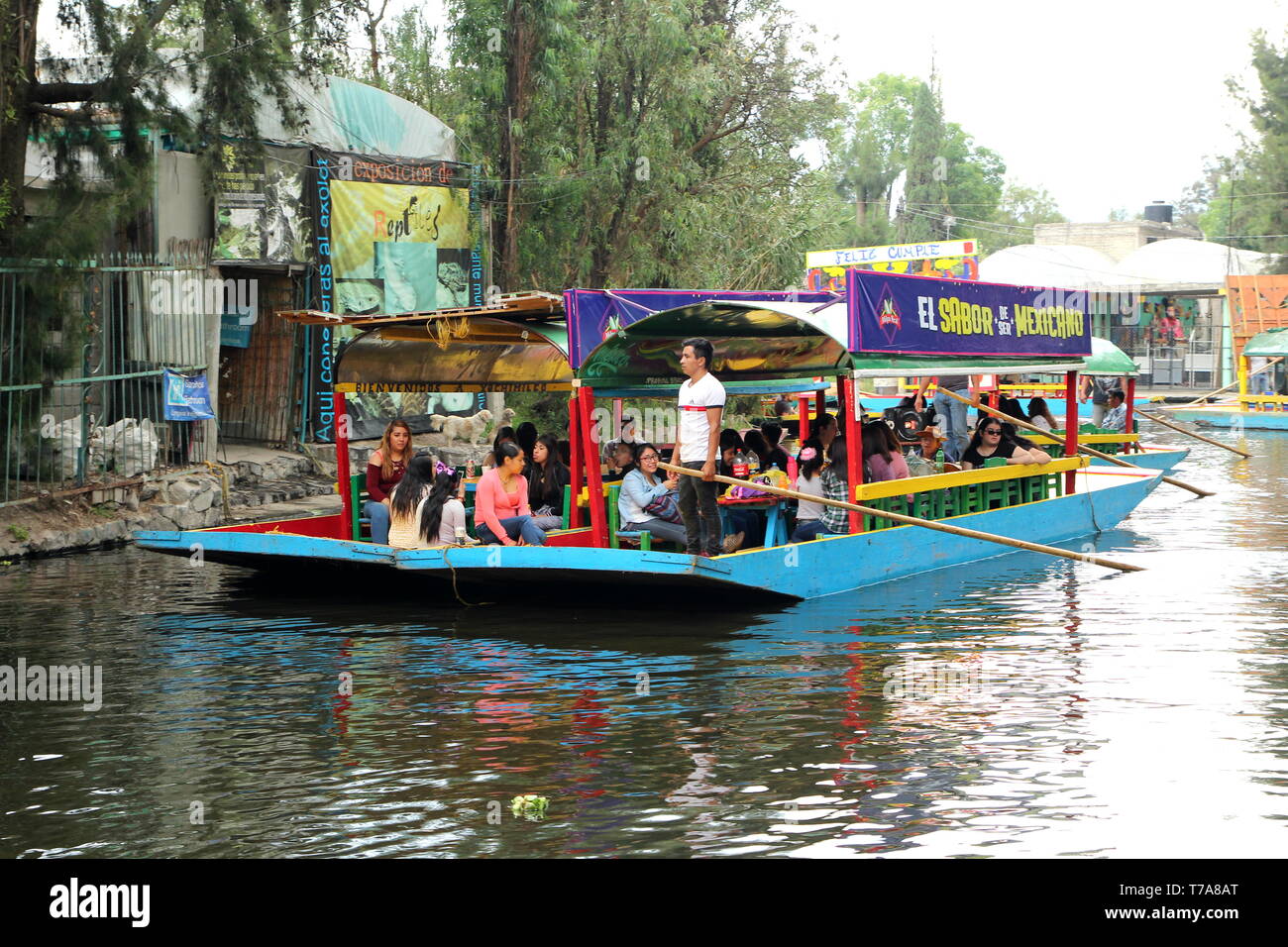 Axolotl Xochimilco High Resolution Stock Photography and Images - Alamy
