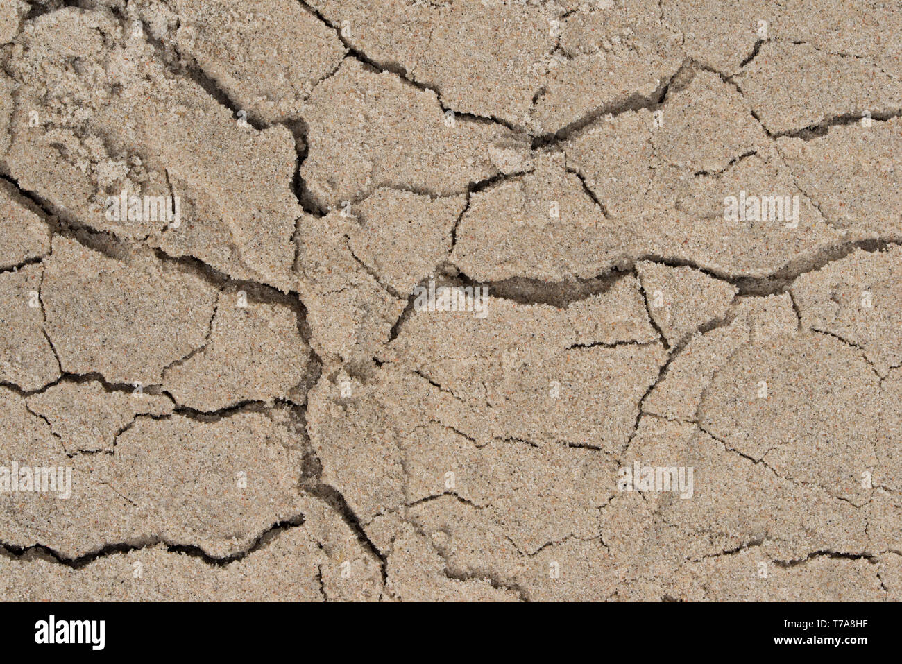 cracked sandy soil background texture Stock Photo - Alamy