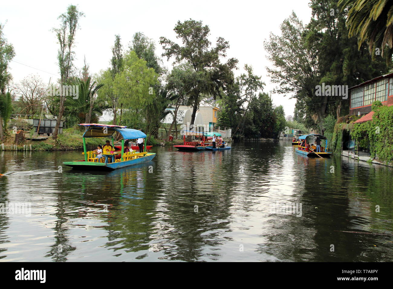 Xochimilco ecological park hi-res stock photography and images - Alamy