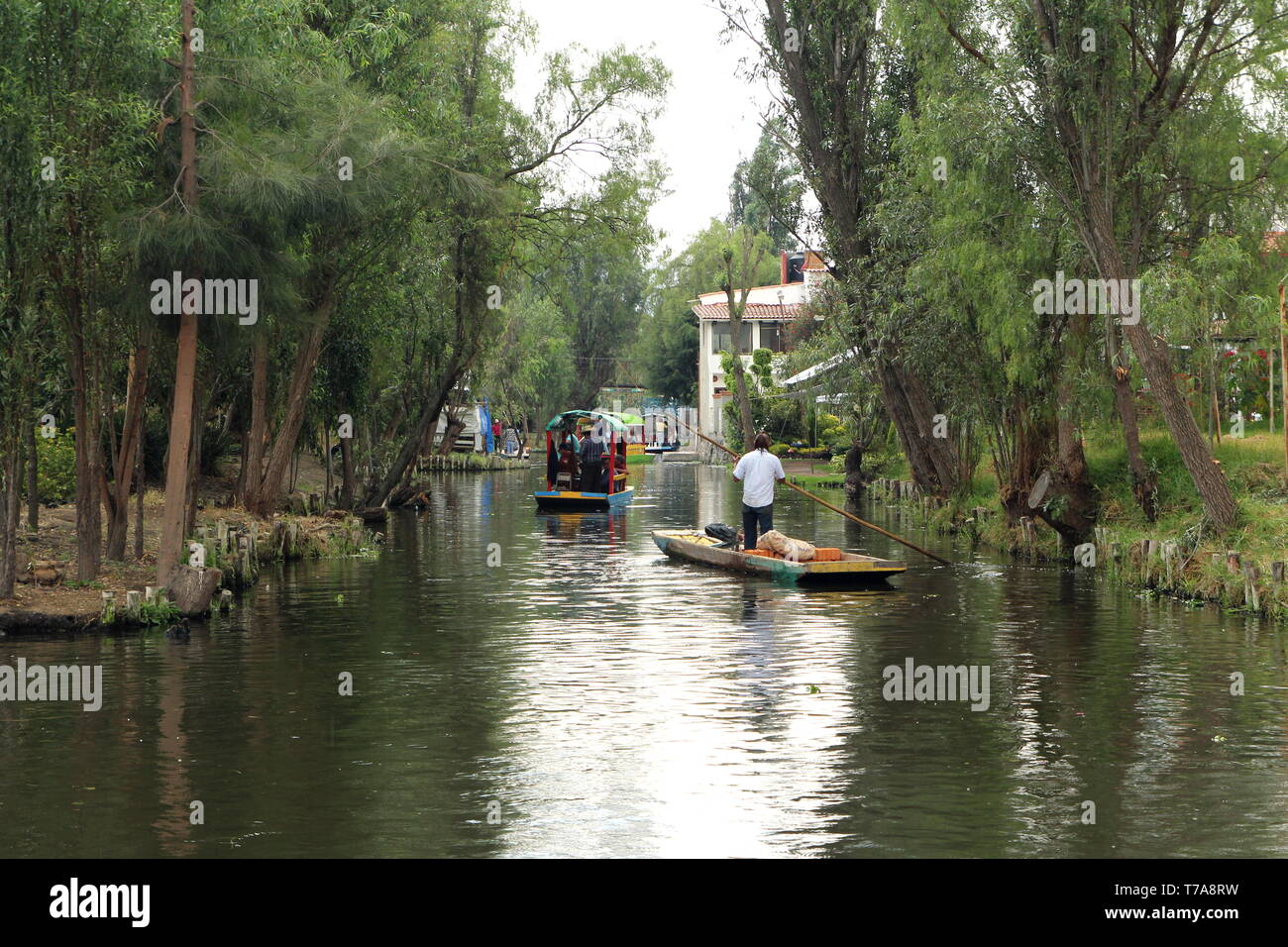 Xochimilco ecology hi-res stock photography and images - Alamy