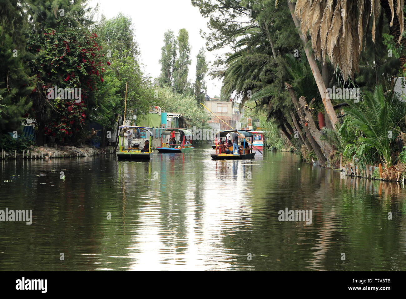 Xochimilco district in Mexico city Stock Photo - Alamy