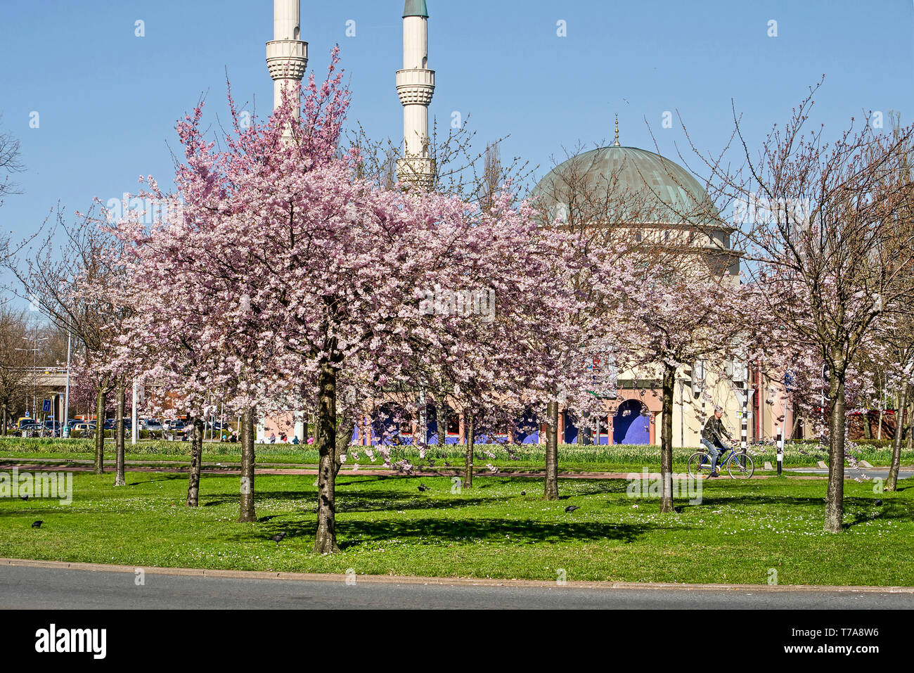 Mevlana Mosque High Resolution Stock Photography and Images - Alamy
