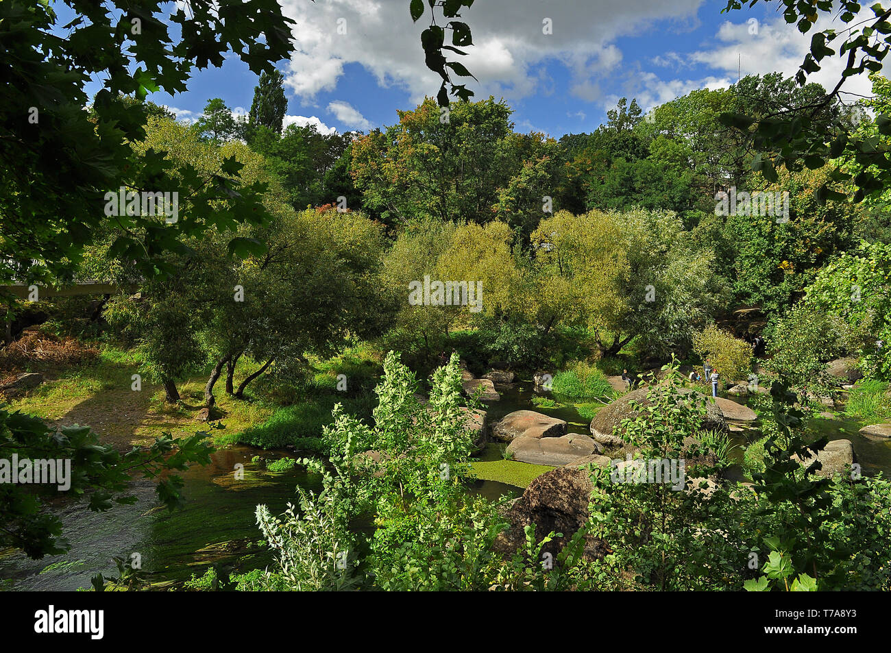 Huge boulders lie in the river among high green trees against the blue ...
