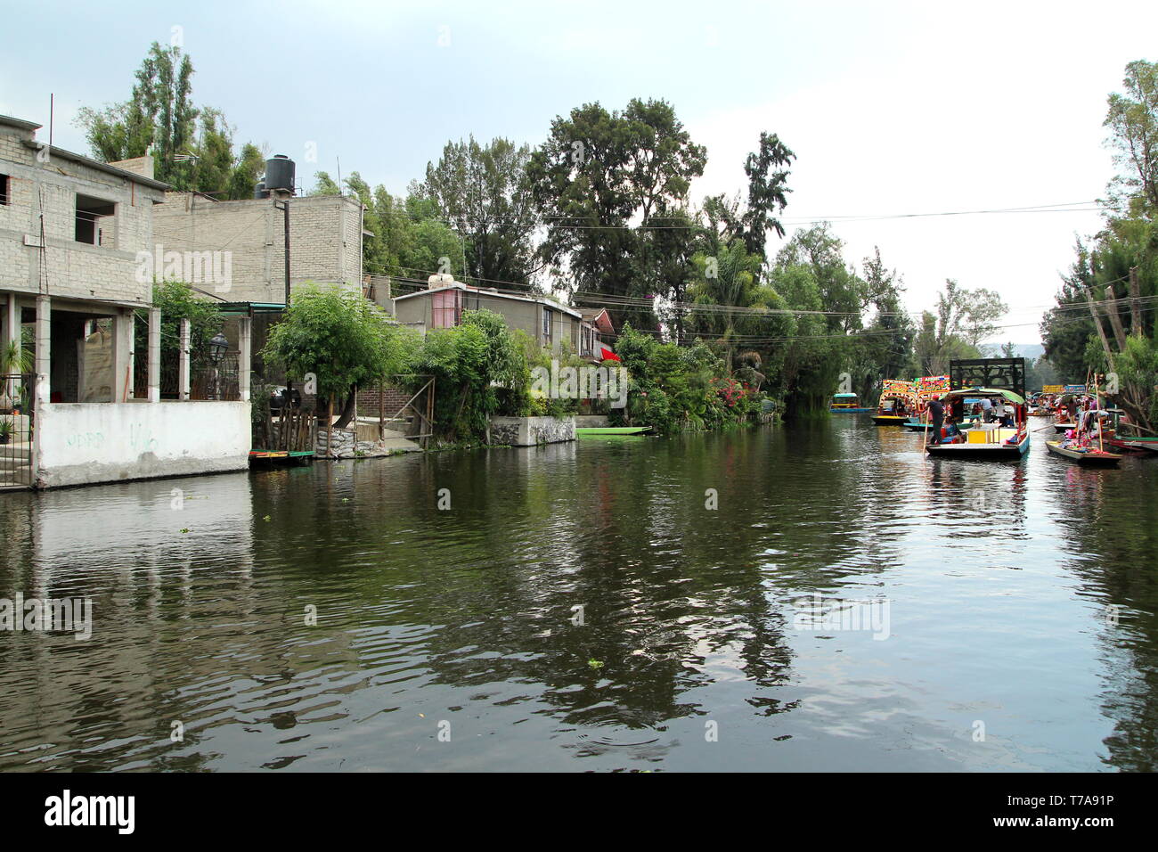 Xochimilco ecosystem hi-res stock photography and images - Alamy