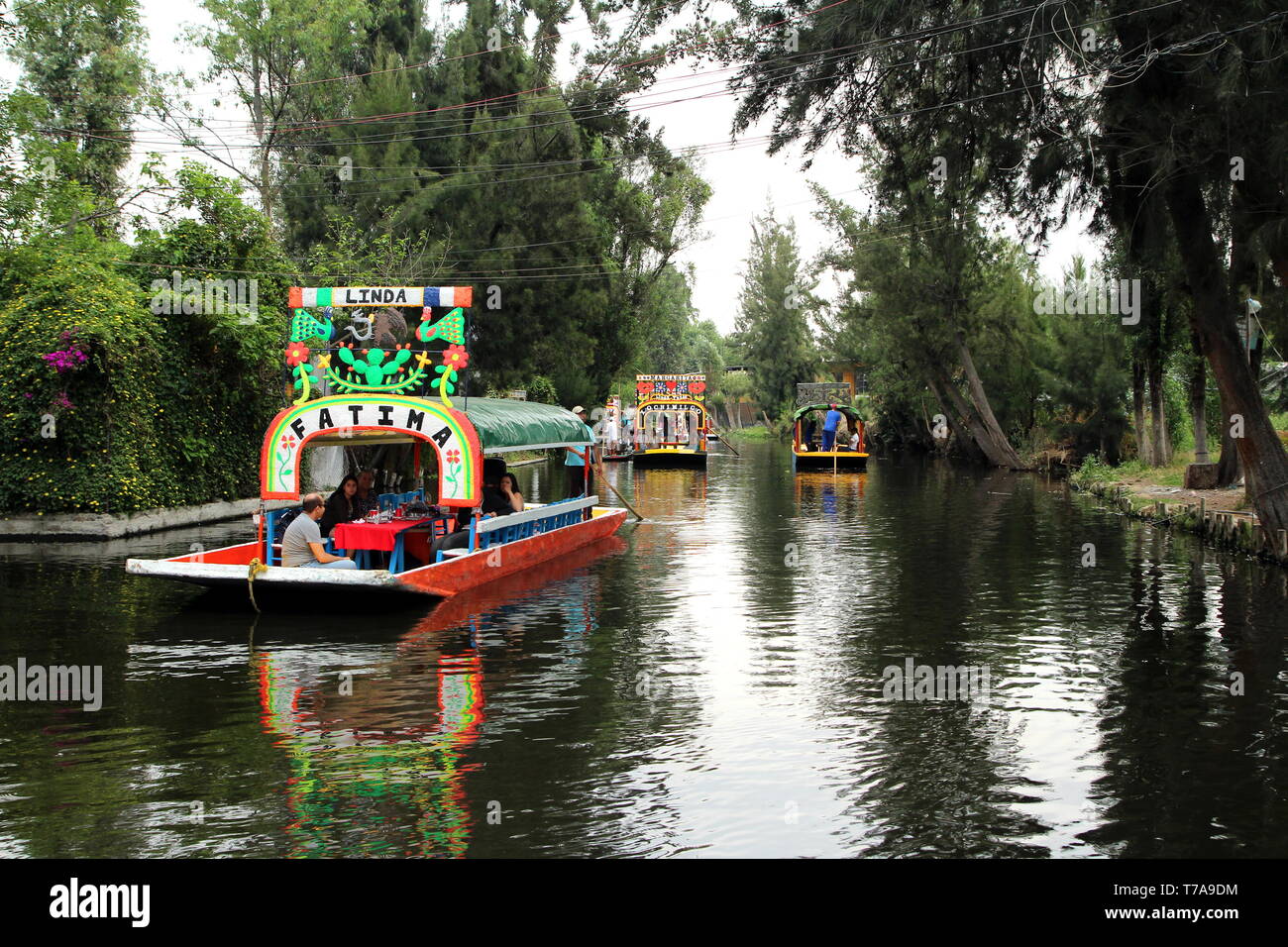 Xochimilco ecology hi-res stock photography and images - Alamy