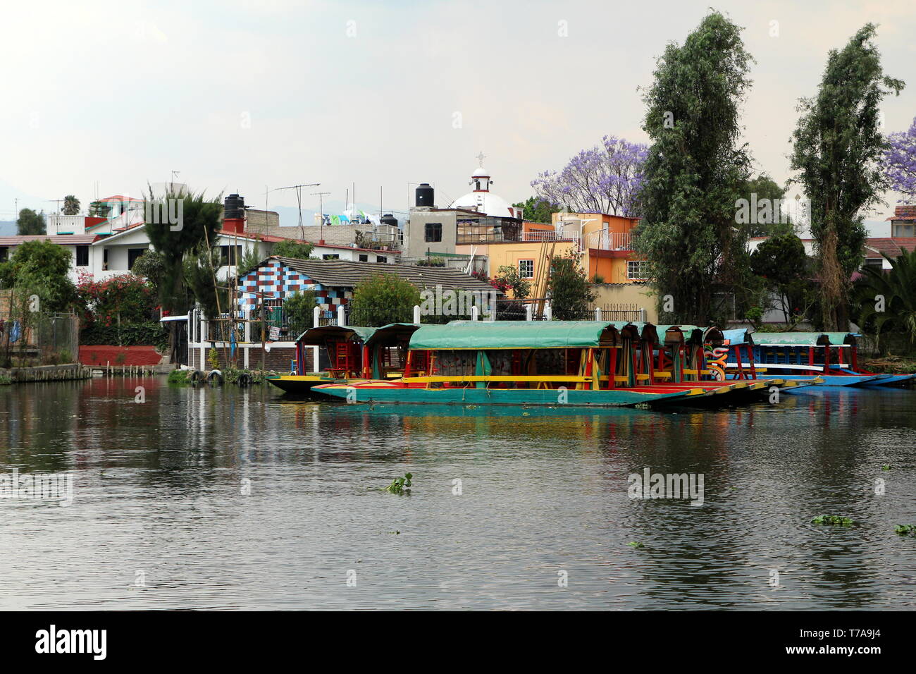 Xochimilco district in Mexico city Stock Photo - Alamy