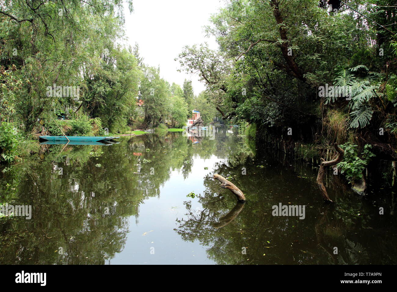 Xochimilco district in Mexico city Stock Photo - Alamy