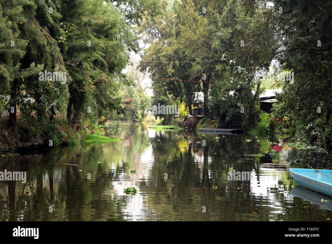 Xochimilco district in Mexico city Stock Photo - Alamy