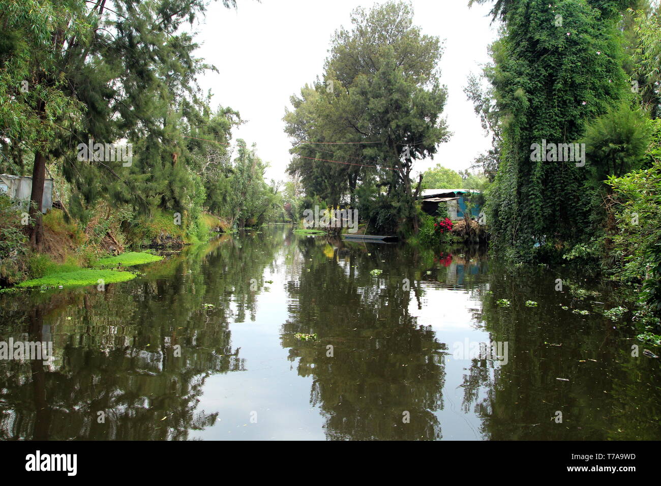 Xochimilco district in Mexico city Stock Photo - Alamy