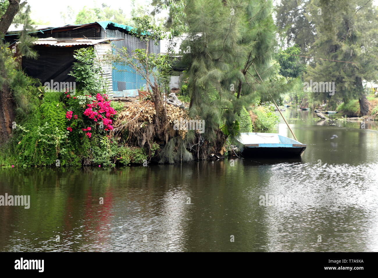Xochimilco district in Mexico city Stock Photo - Alamy