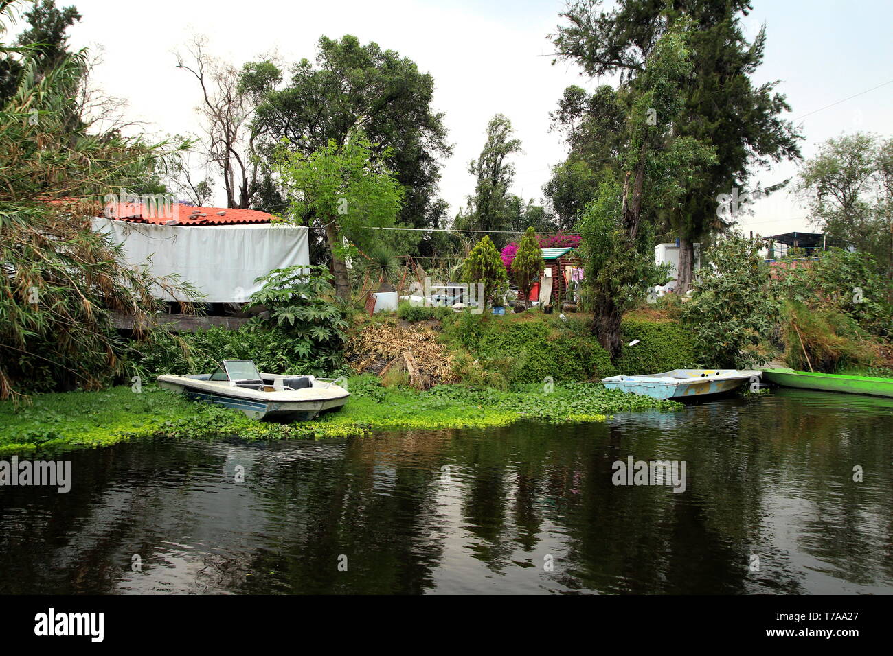 Lake xochimilco hi-res stock photography and images - Alamy