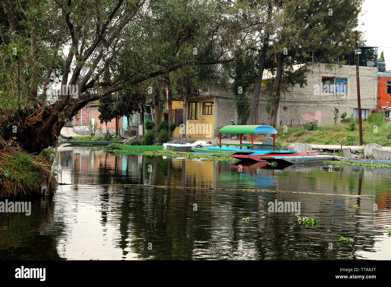 Xochimilco district in Mexico city Stock Photo - Alamy