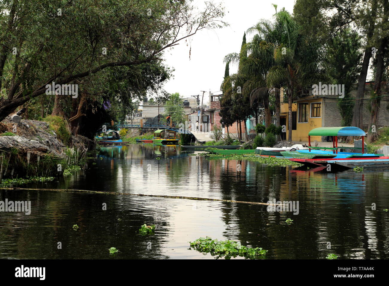 Xochimilco district in Mexico city Stock Photo - Alamy