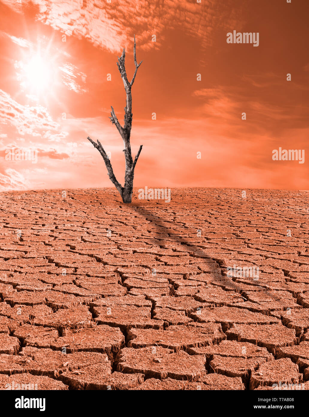 Barren Desert Wasteland