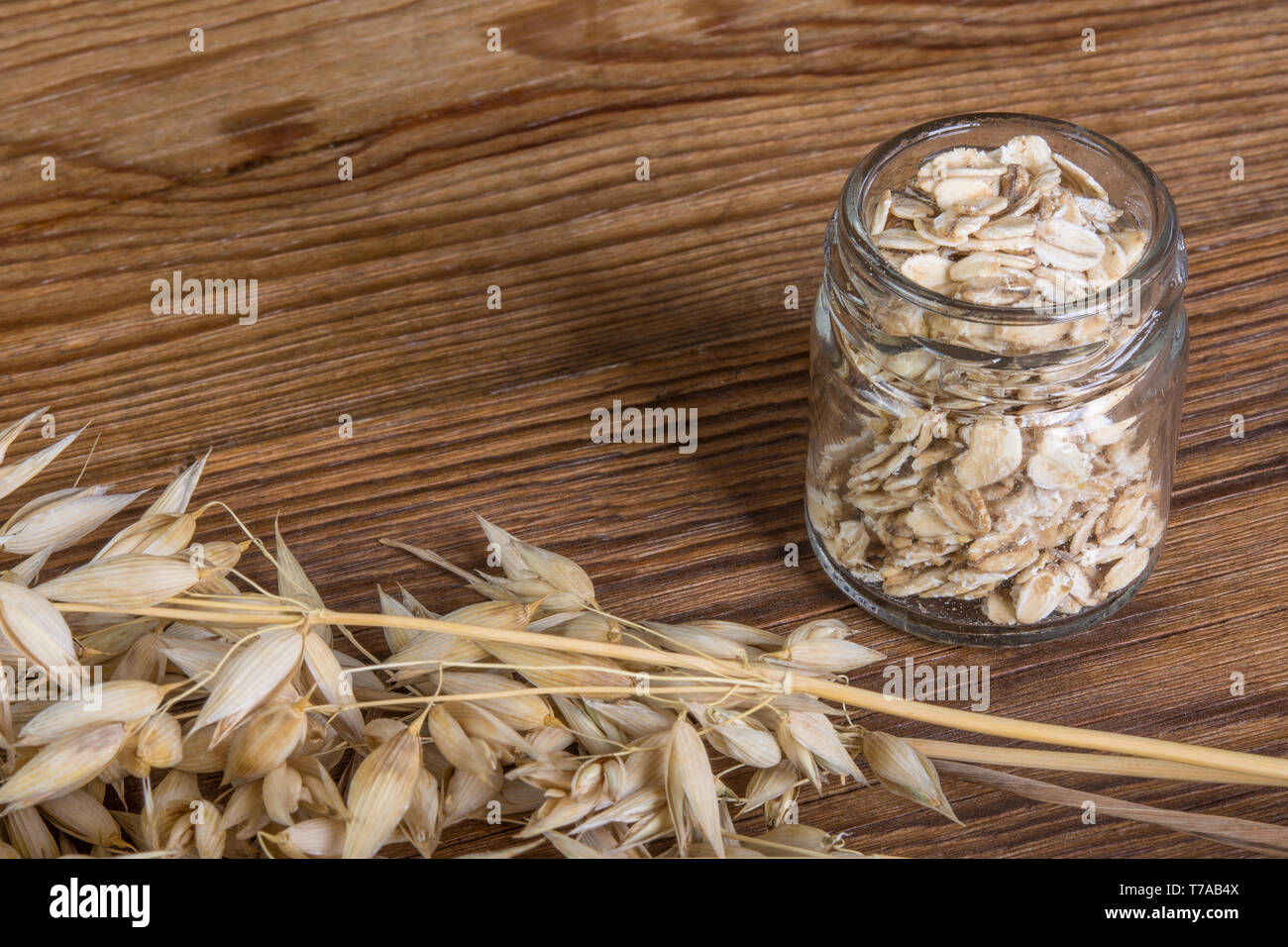 Dry cereal ears detail. Rolled oats in glass jar. Avena sativa. Brown ...