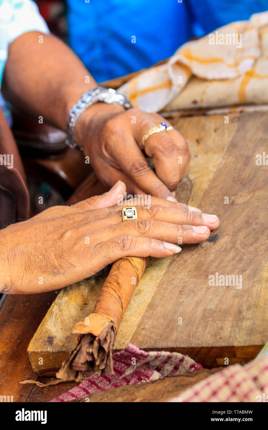 Cuban hand cigar Stock Photo - Alamy