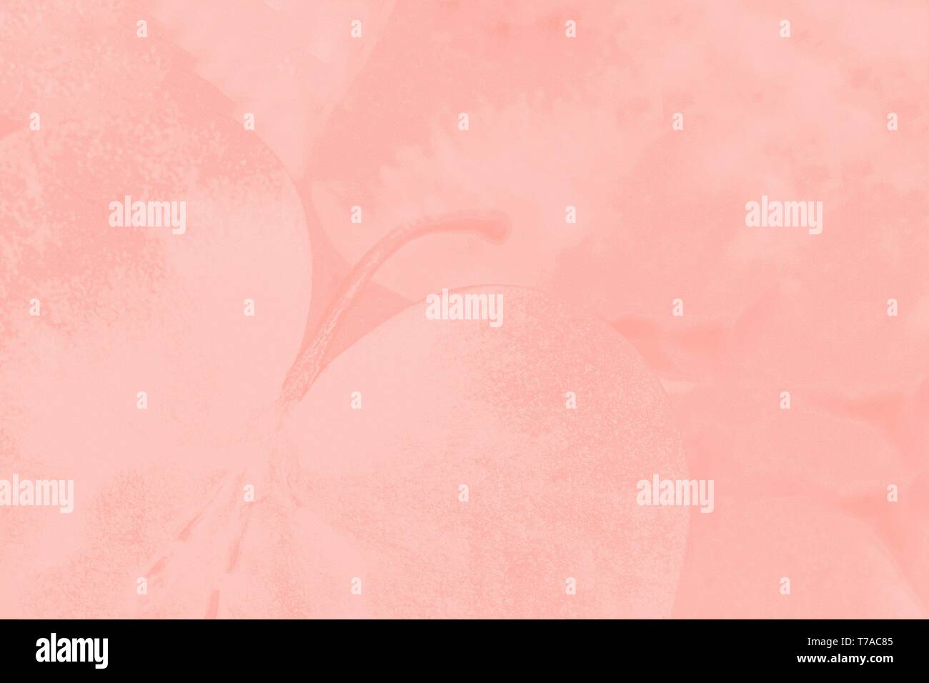 Soft light pink coral color background with delicate apple pattern ...