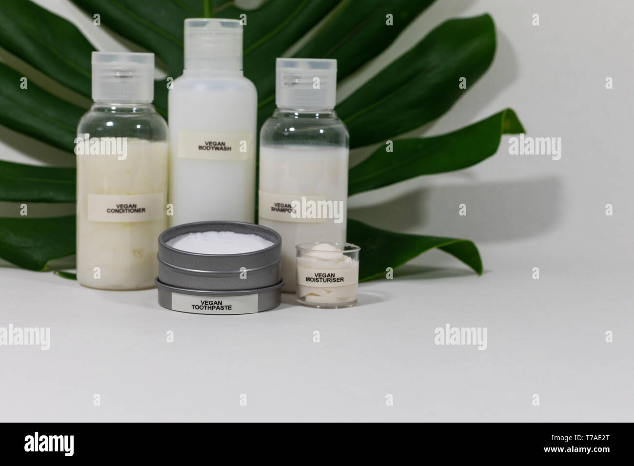 Biodegradable products hi-res stock photography and images - Alamy